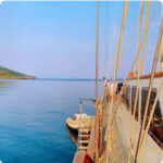 Wojhati Travel